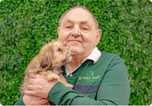 Dog Resort with Grooming, Training and Daycare