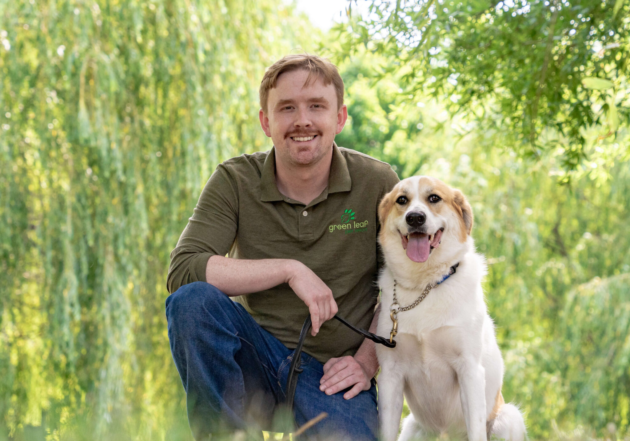 Dog Resort with Grooming, Training and Daycare